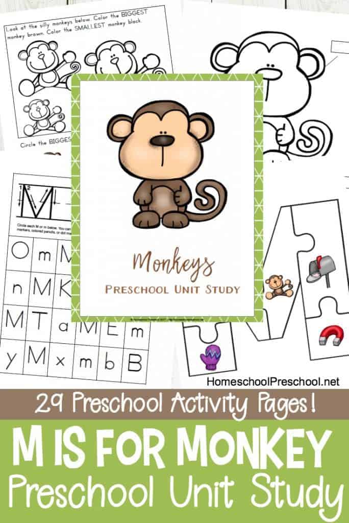 Marvelous M is for Monkey Activities for Preschoolers