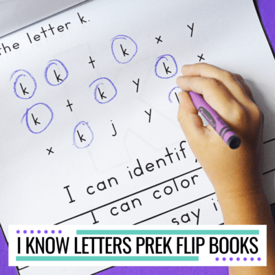40+ Printable Preschool Basic Skills Flip Books