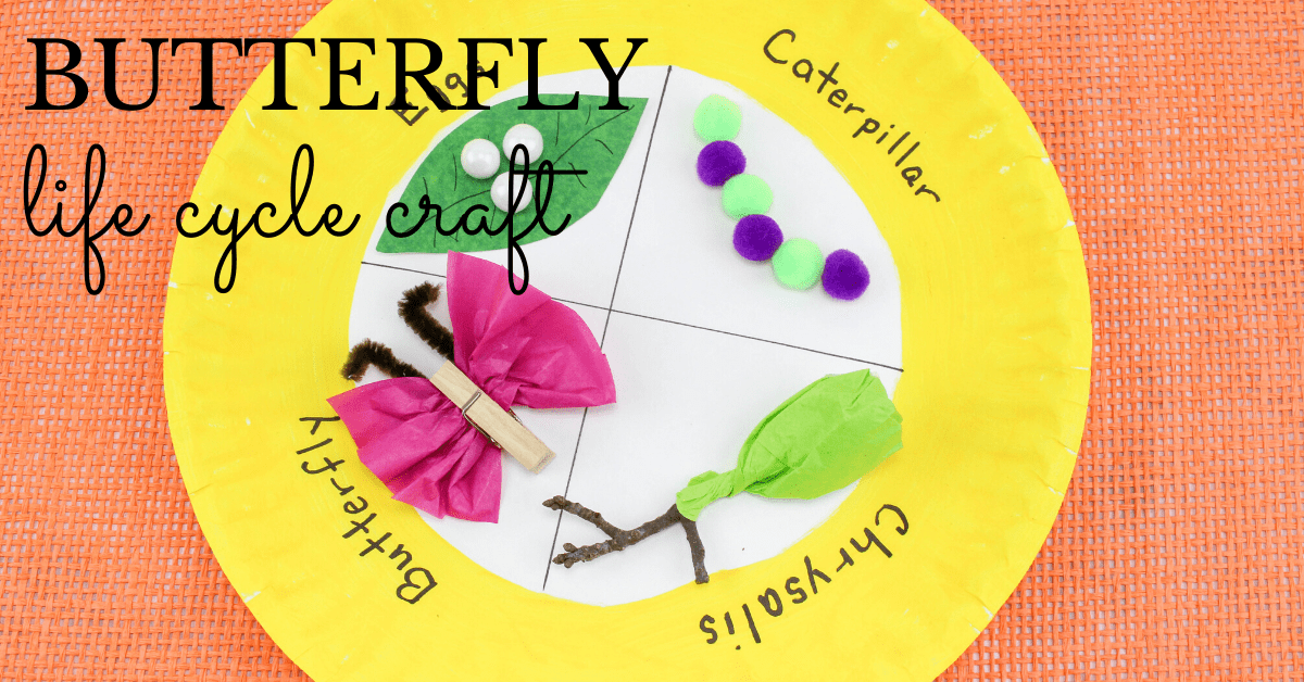 Paper Plate Life Cycle Of A Butterfly Craft For Preschoolers Paper Plate Life Cycle Of A Butterfly Craft For Preschoolers