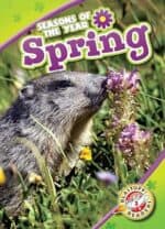 Our Favorite Nonfiction Spring Books for Preschoolers