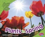 Our Favorite Nonfiction Spring Books for Preschoolers