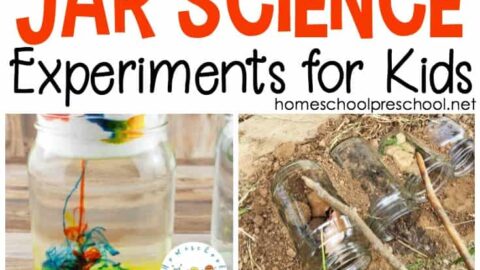 Hands-On Preschool Activities for Math, Literacy, and Science