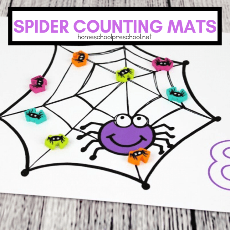 Simple Salt Painted Spider Web Craft for Halloween