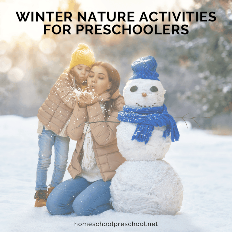 Wonderful Winter Nature Activities for Preschoolers