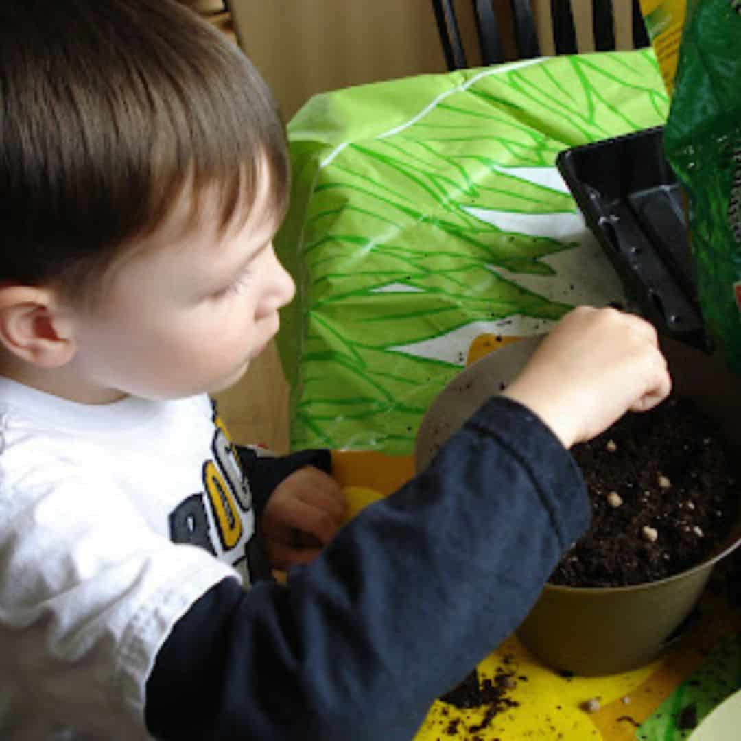 Spring Science Experiments for Curious Preschoolers