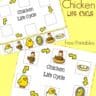 Spring Science Experiments for Curious Preschoolers