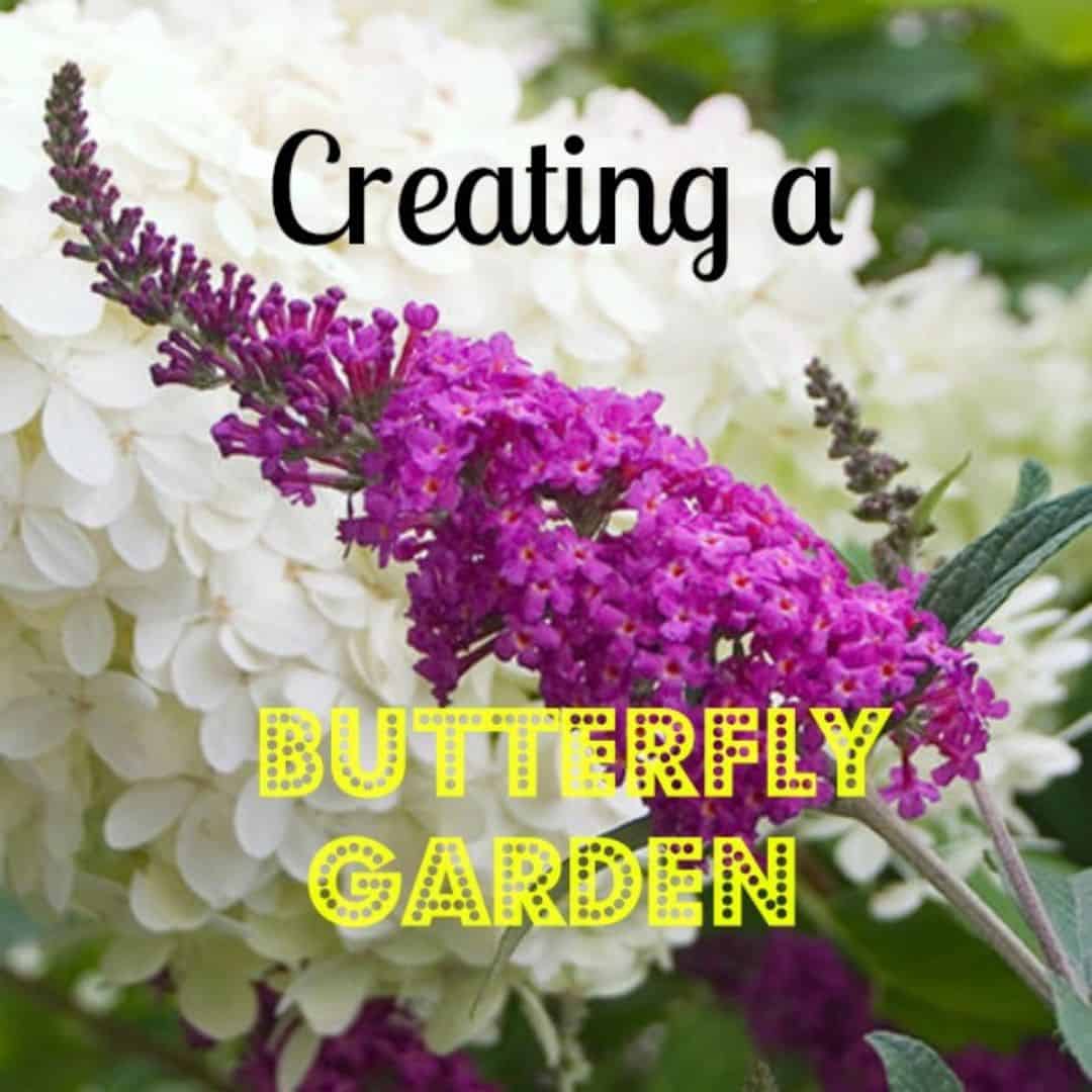 Spring Science Experiments for Curious Preschoolers