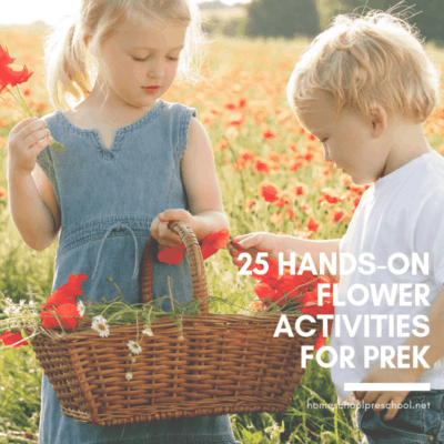 25 Engaging Hands On Flower Activities for Preschoolers