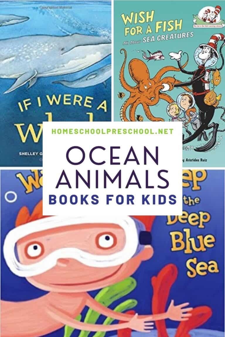 Enchanting Ocean Animal Books for Preschoolers