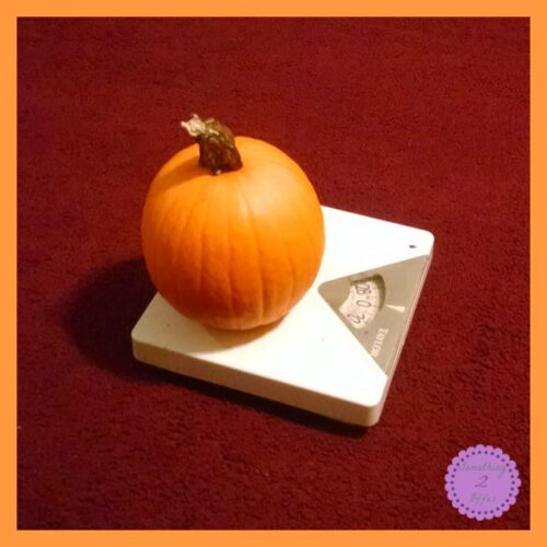 Pumpkin STEM Activities for Kids | PreK Fall Science & Math Fun