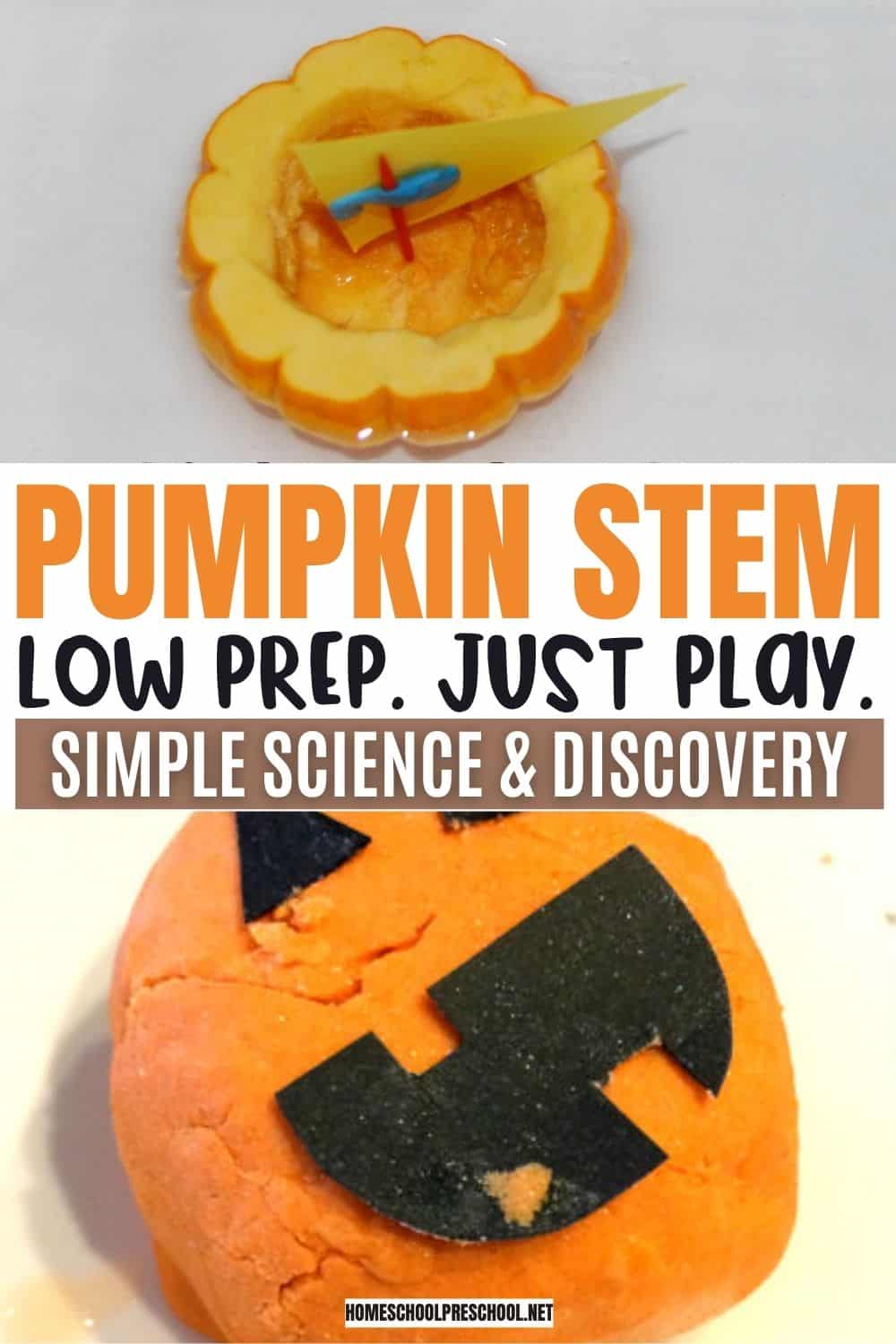 Pumpkin STEM Activities for Kids | PreK Fall Science & Math Fun