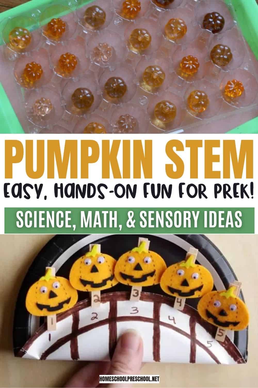 Pumpkin STEM Activities for Kids | PreK Fall Science & Math Fun