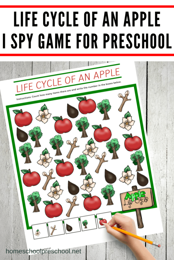 Printable Life Cycle of an Apple I Spy Game for Preschool