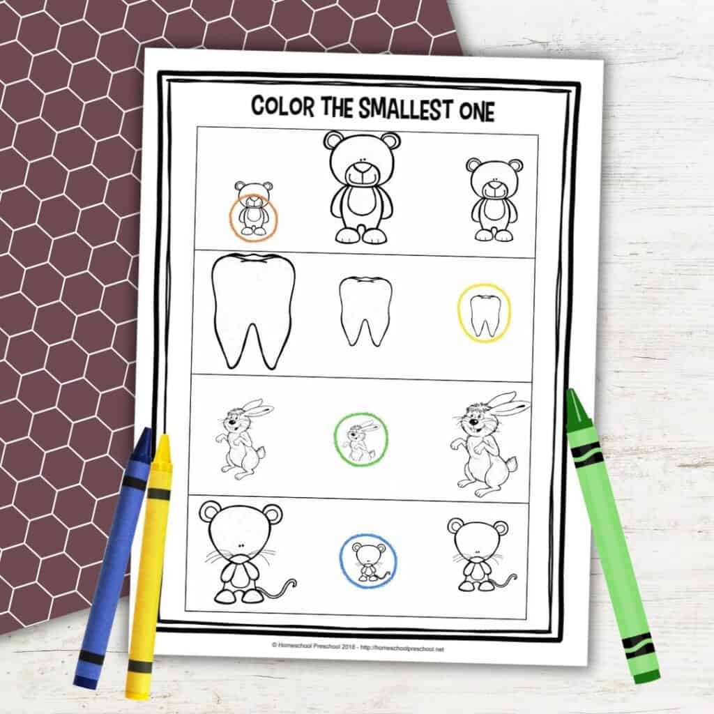 Printable Bear's Loose Tooth Book Activities for Preschool