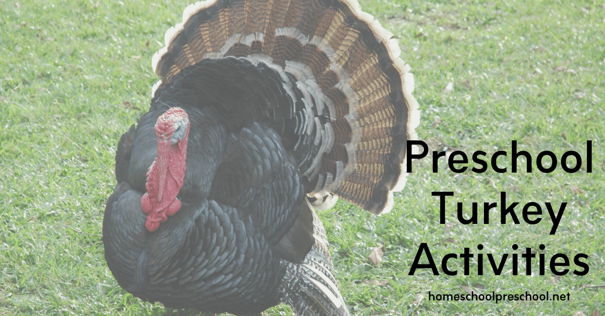 A Growing Collection of Preschool Turkey Activities