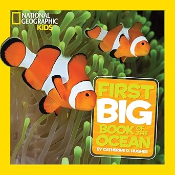 Nonfiction Books About the Ocean for Preschoolers