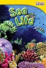 Nonfiction Books About the Ocean for Preschoolers