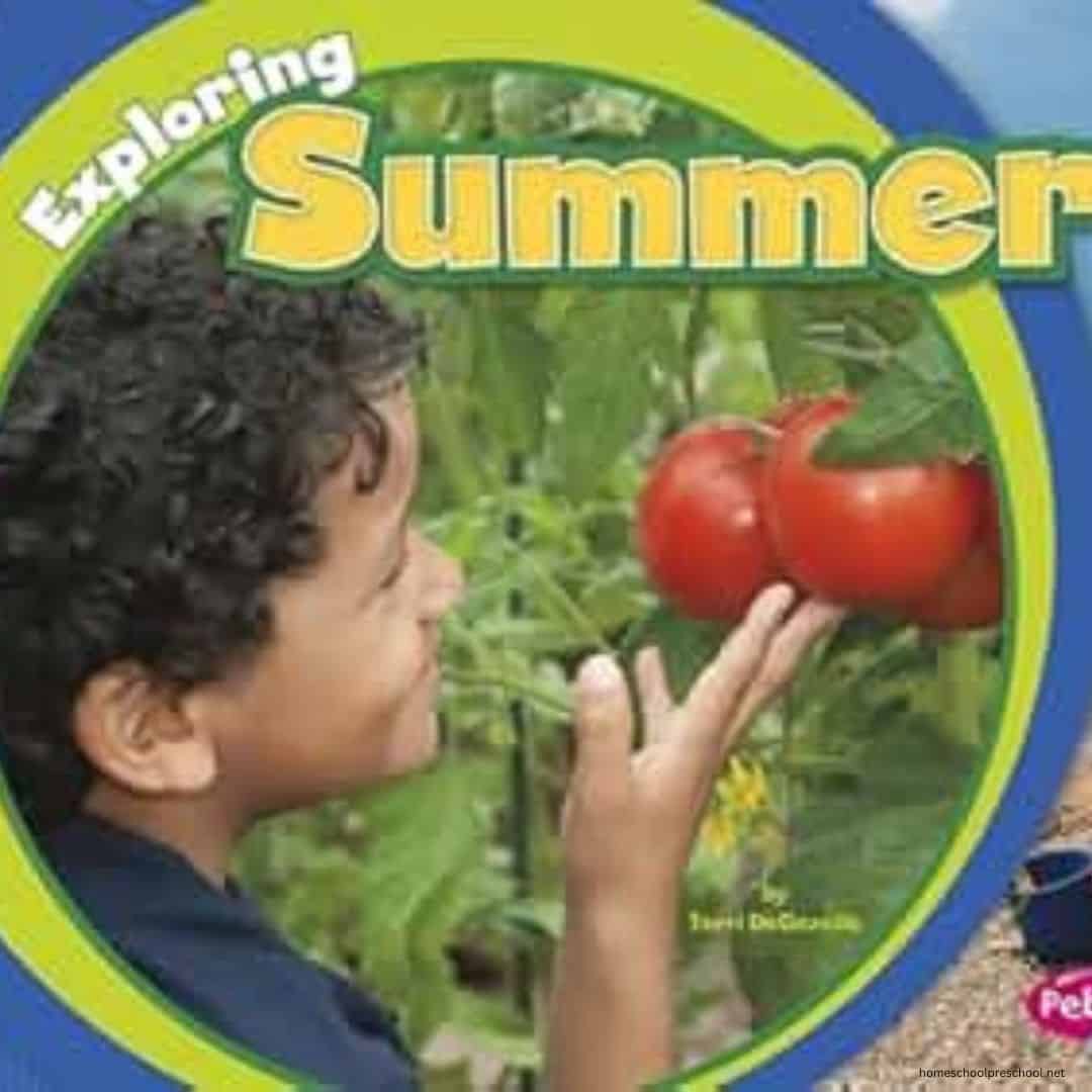 Summer Books for Preschoolers to Read and Enjoy