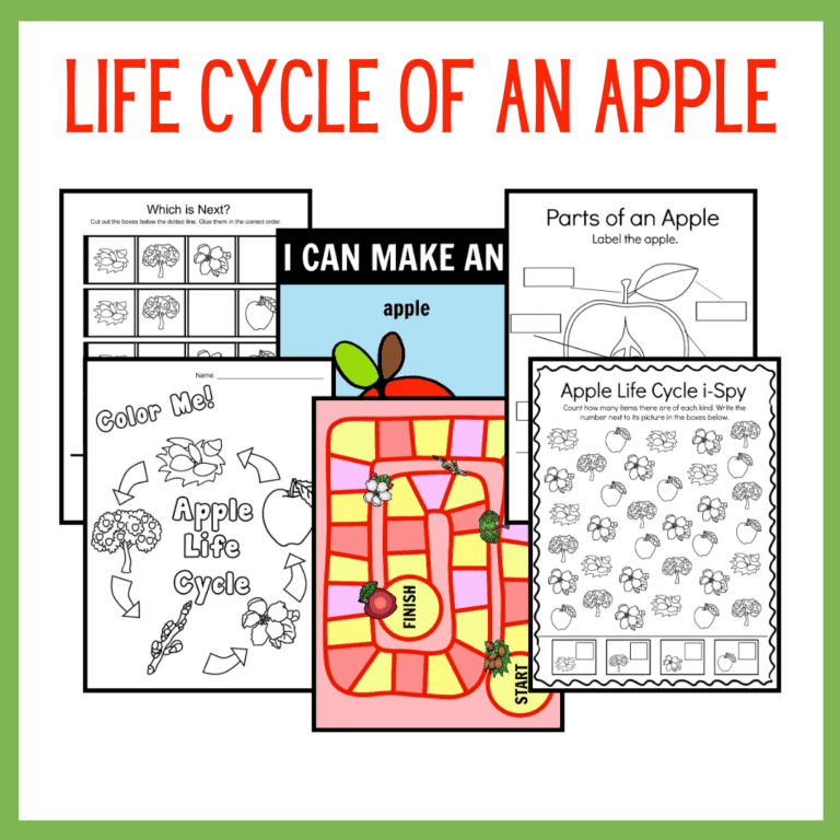 Printable Apple Life Cycle Apple Life Cycle PreK Printable Worksheets
