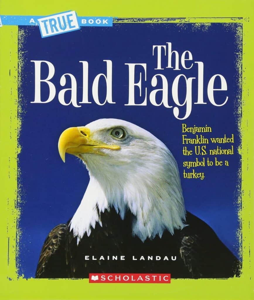 15 Engaging Books About Bald Eagles for Preschoolers