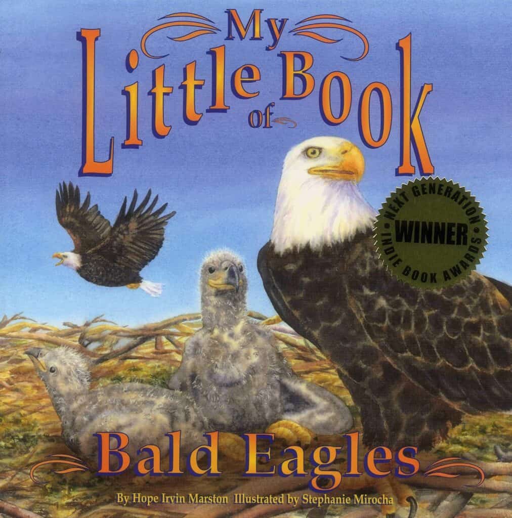 15 Engaging Books About Bald Eagles for Preschoolers