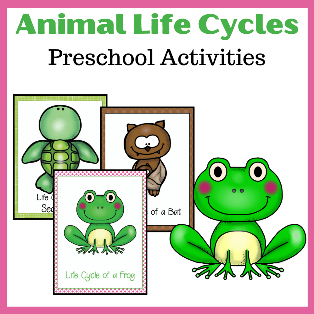 Life Cycle Of Animals Printables For Preschoolers