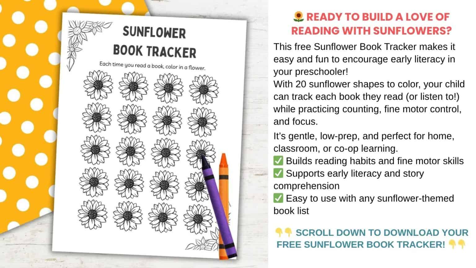 Books About Sunflowers for Preschool and Kindergarten