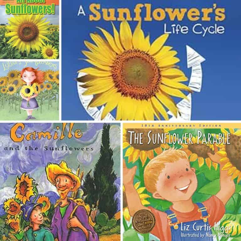 Books About Sunflowers for Preschool and Kindergarten