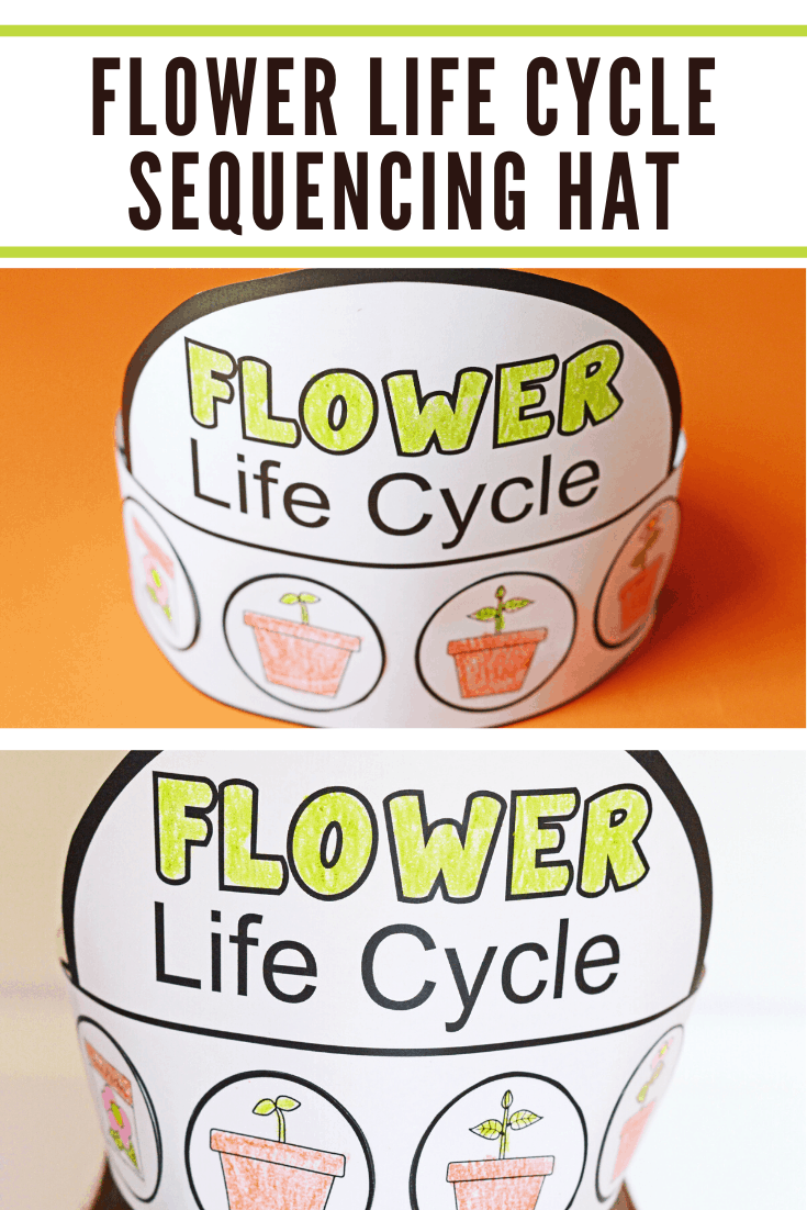 Engage Kids with Life Cycle of a Flower Hat Activity