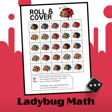 Bug Activities for Preschoolers (Easy Ideas for Ages 3–5)