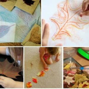 Leaf Activities for Preschoolers: Fun & Easy Fall Ideas