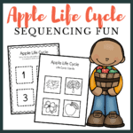3 Printable Apple Life Cycle Activities for Preschool