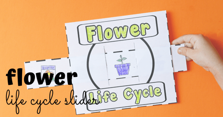 Flower Science Activities for Preschoolers