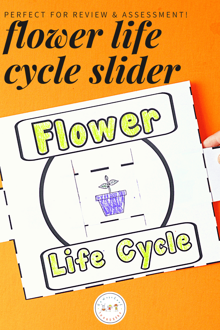 Free Flower Life Cycle Slider Activity for Preschool