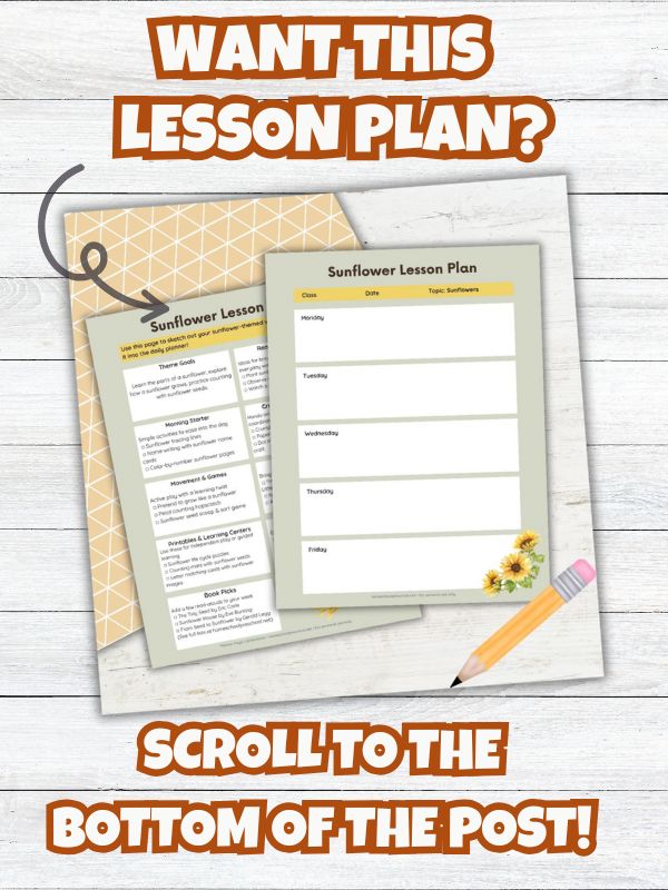 25+ Sunflower Preschool Activities for Hands-On Learning Fun