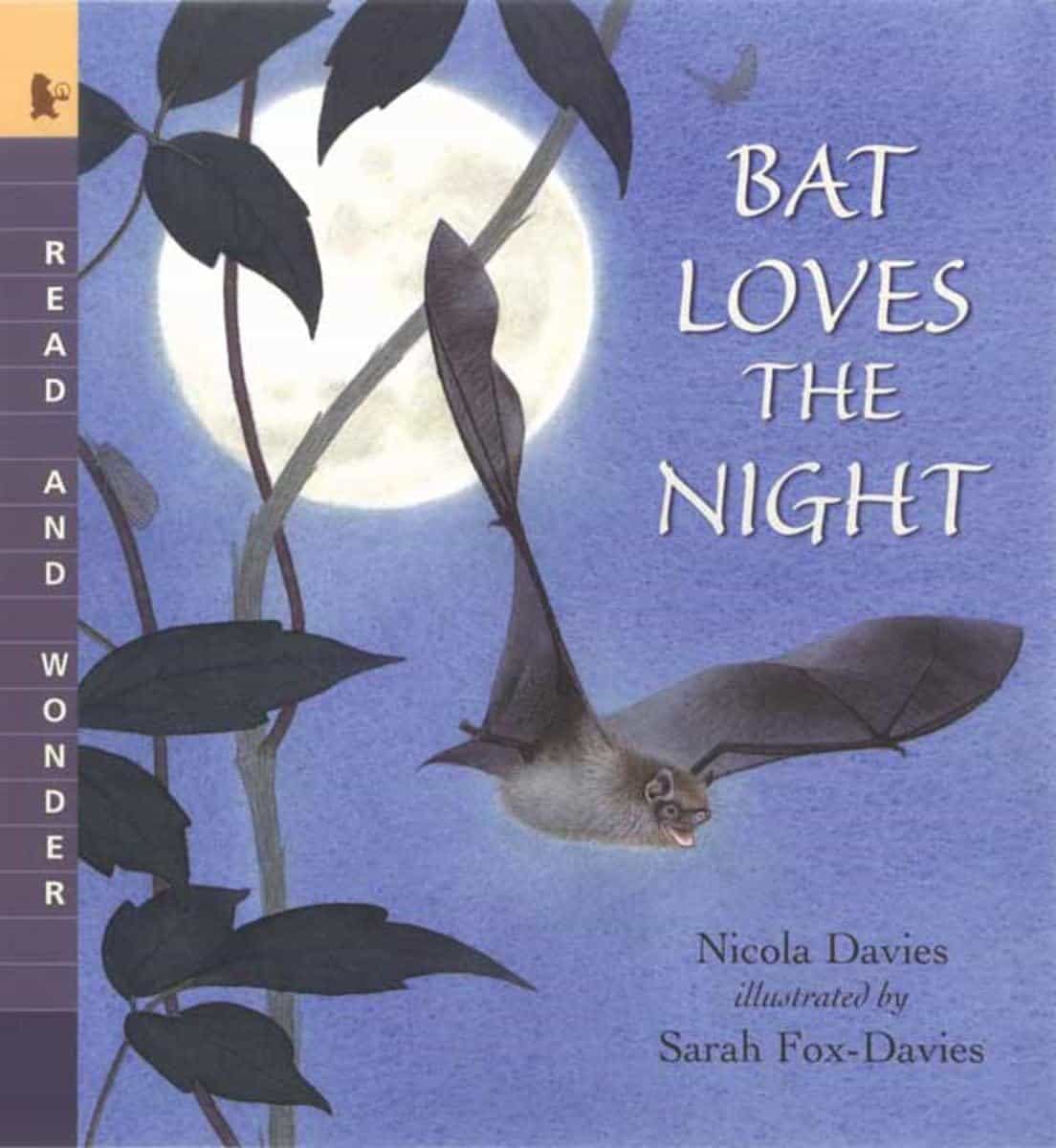 12 Nonfiction Books About Bats for Preschoolers