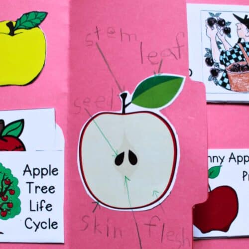 Printable Johnny Appleseed Activities for Preschoolers