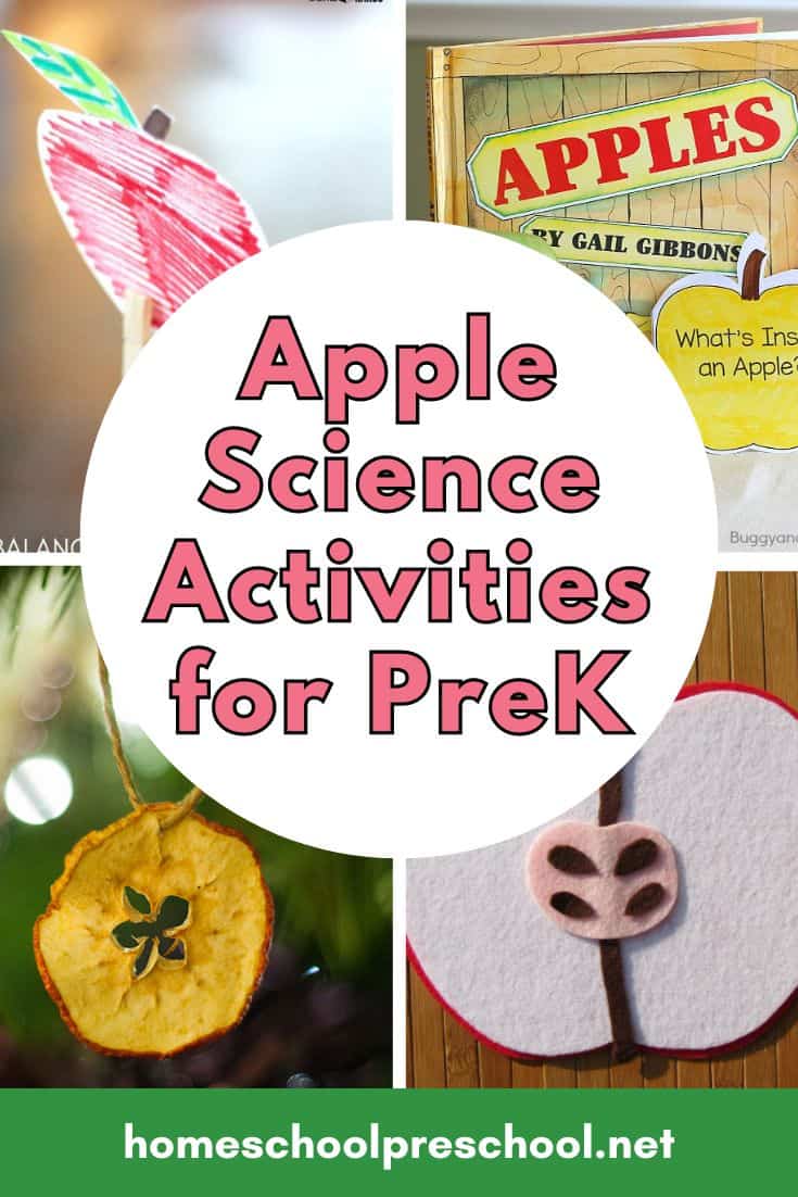 Apple Science Activities for Preschoolers: Hands-On Learning Fun