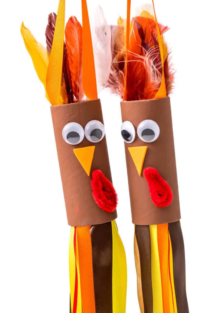 Thanksgiving Toilet Paper Roll Crafts for Preschoolers
