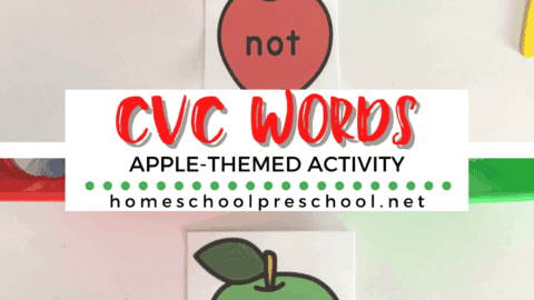 Apple Printables for Your Apples Preschool Theme