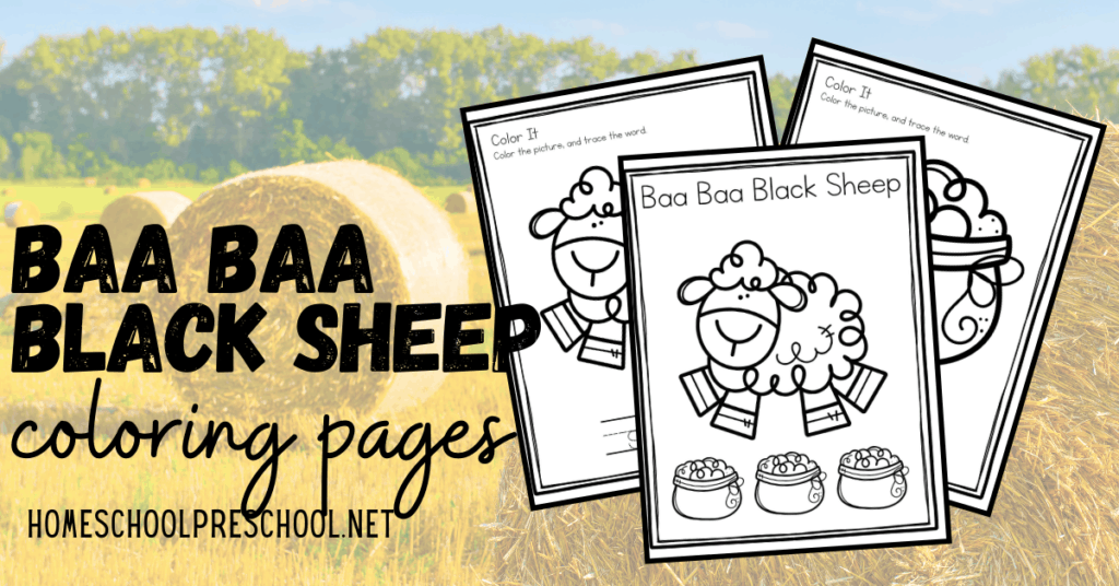Hands-On Baa Baa Black Sheep Activities | Homeschool Preschool