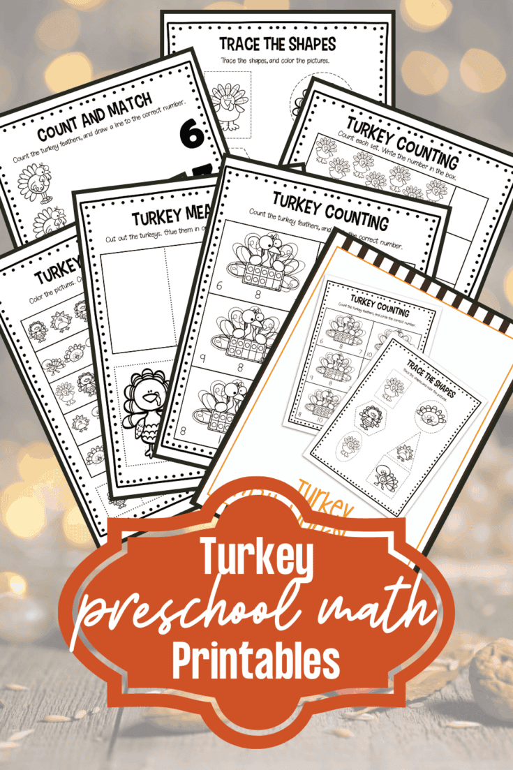 Printable Turkey Math Worksheets for Preschoolers