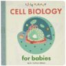 15 Engaging Science Books for Toddlers and Preschoolers