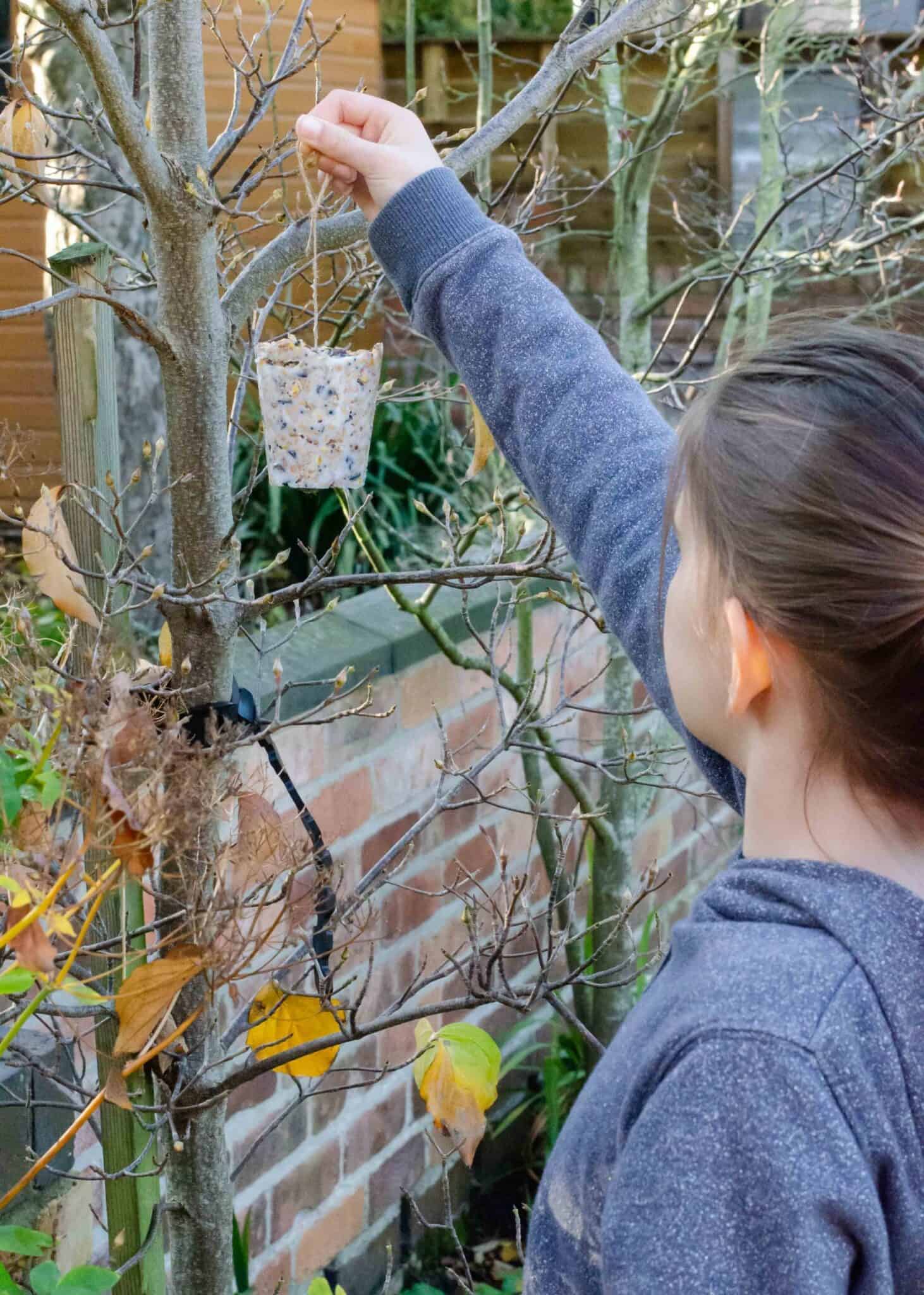 More Than 25 Bird Science Activities for Preschoolers