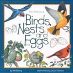 15 Excellent Egg Books for Preschool and Kindergarten