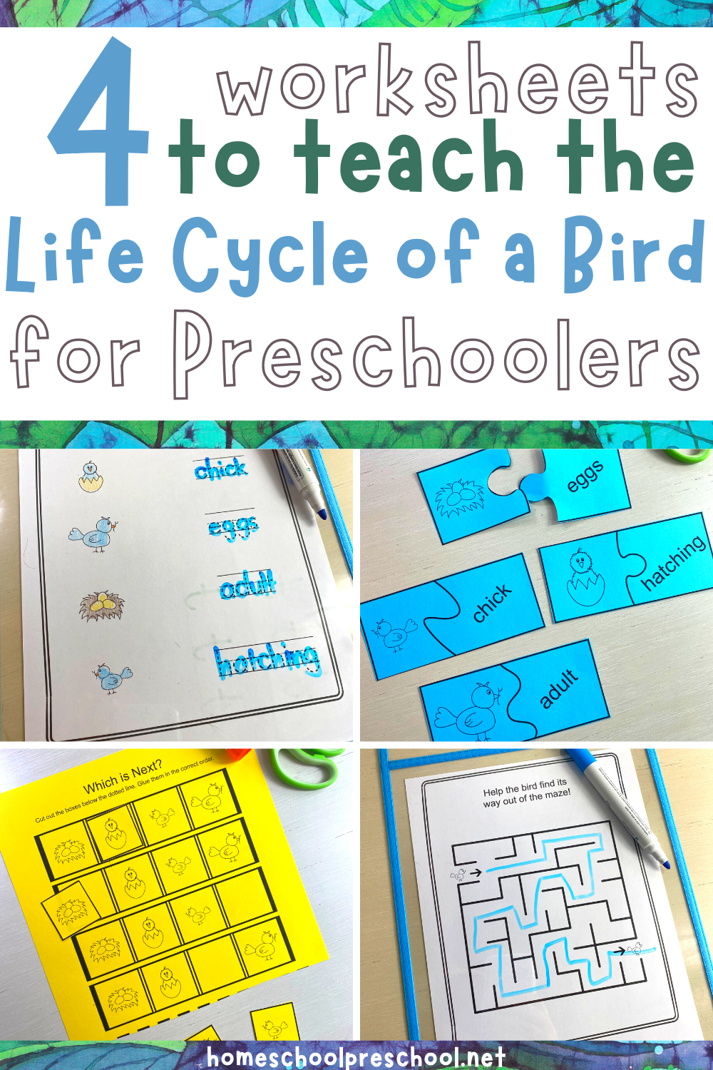 Printable Life Cycle of a Bird for Kids Worksheets