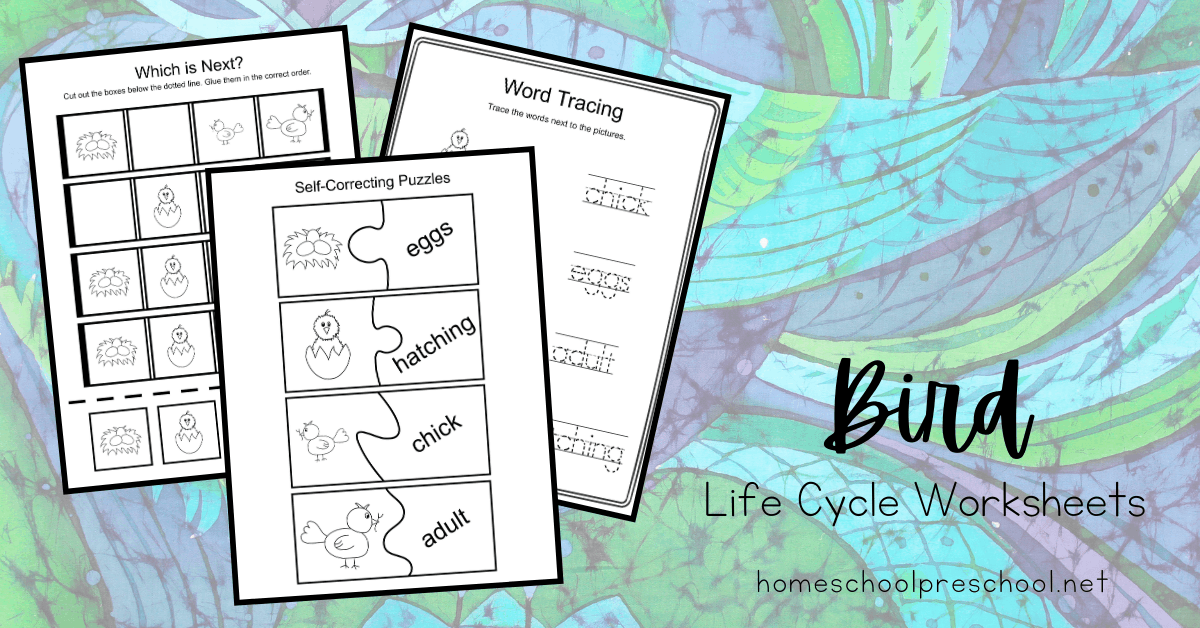 Printable Life Cycle of a Bird for Kids Worksheets