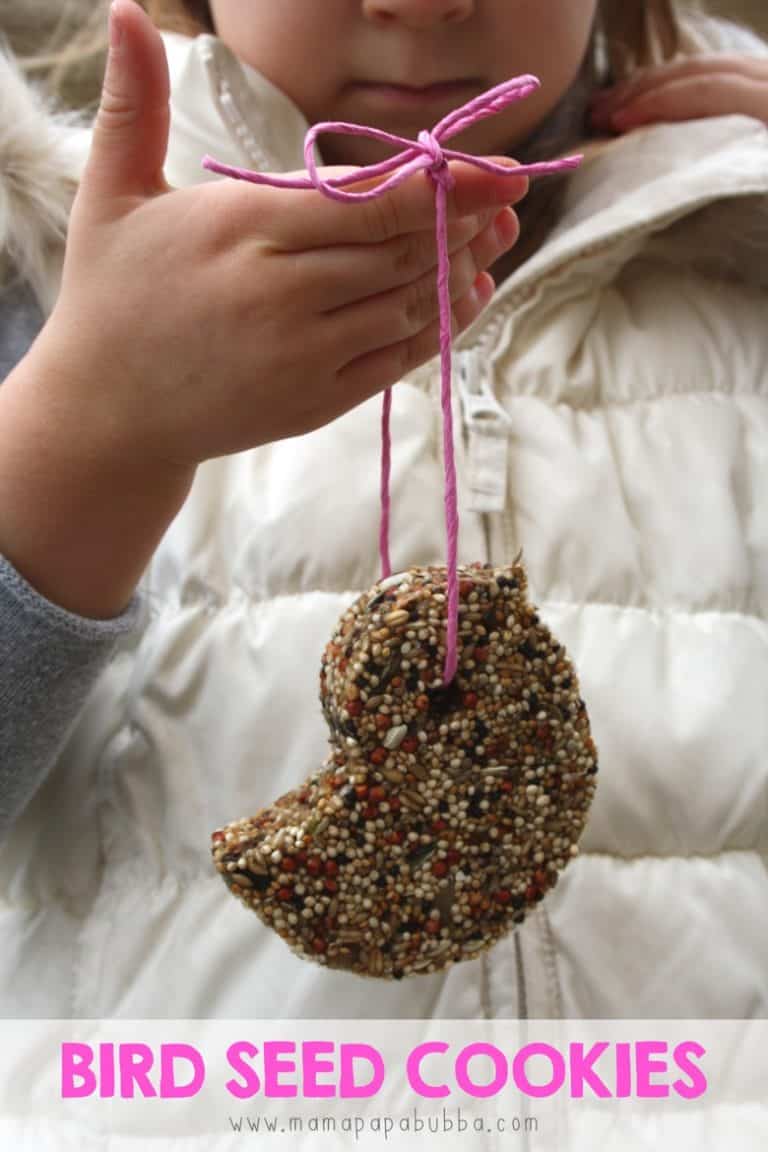 Simple Bird Feeders for Preschoolers