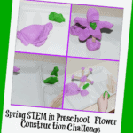 20 Engaging Spring STEM Activities for Preschoolers