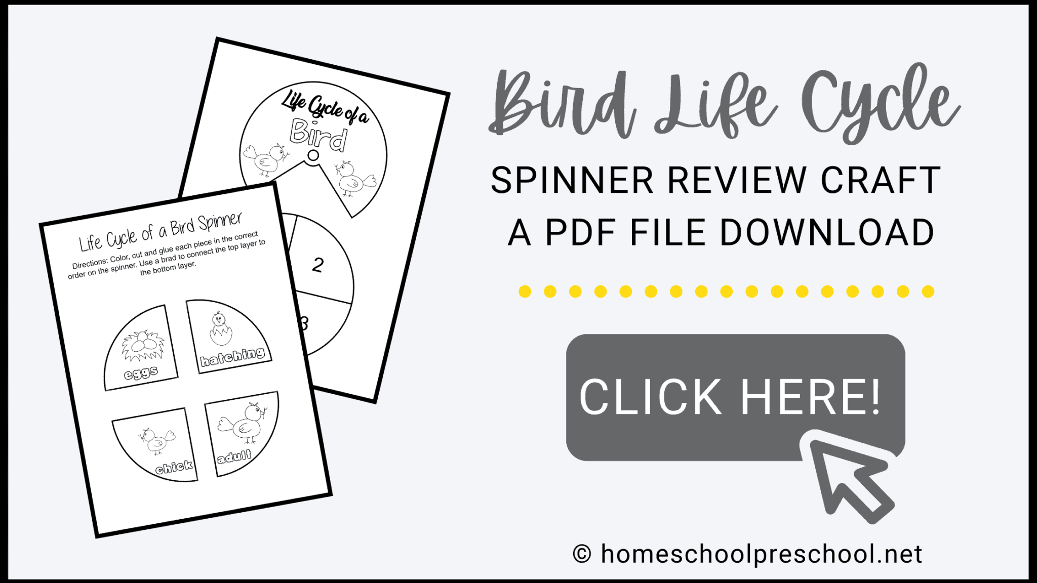 Free Bird Life Cycle Printable Spinner for Preschoolers